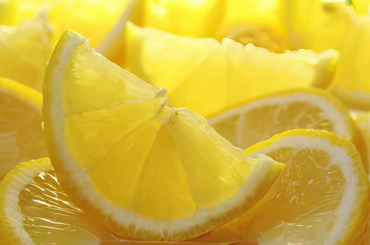 Easy Lemon Recipes | MissHomemade.com