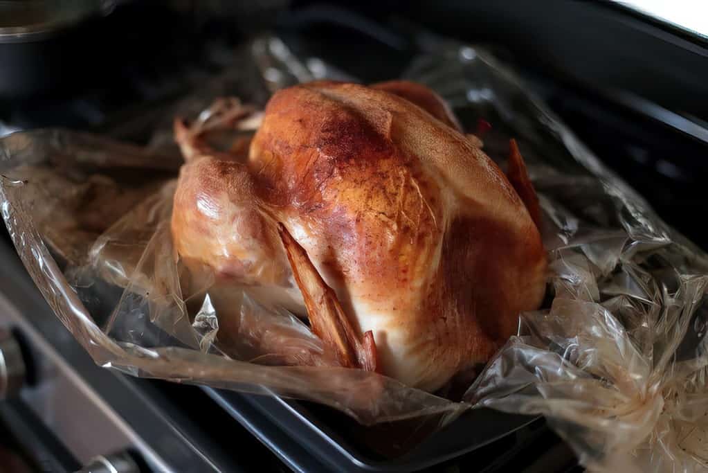 Roast Turkey in a Bag | MissHomemade.com