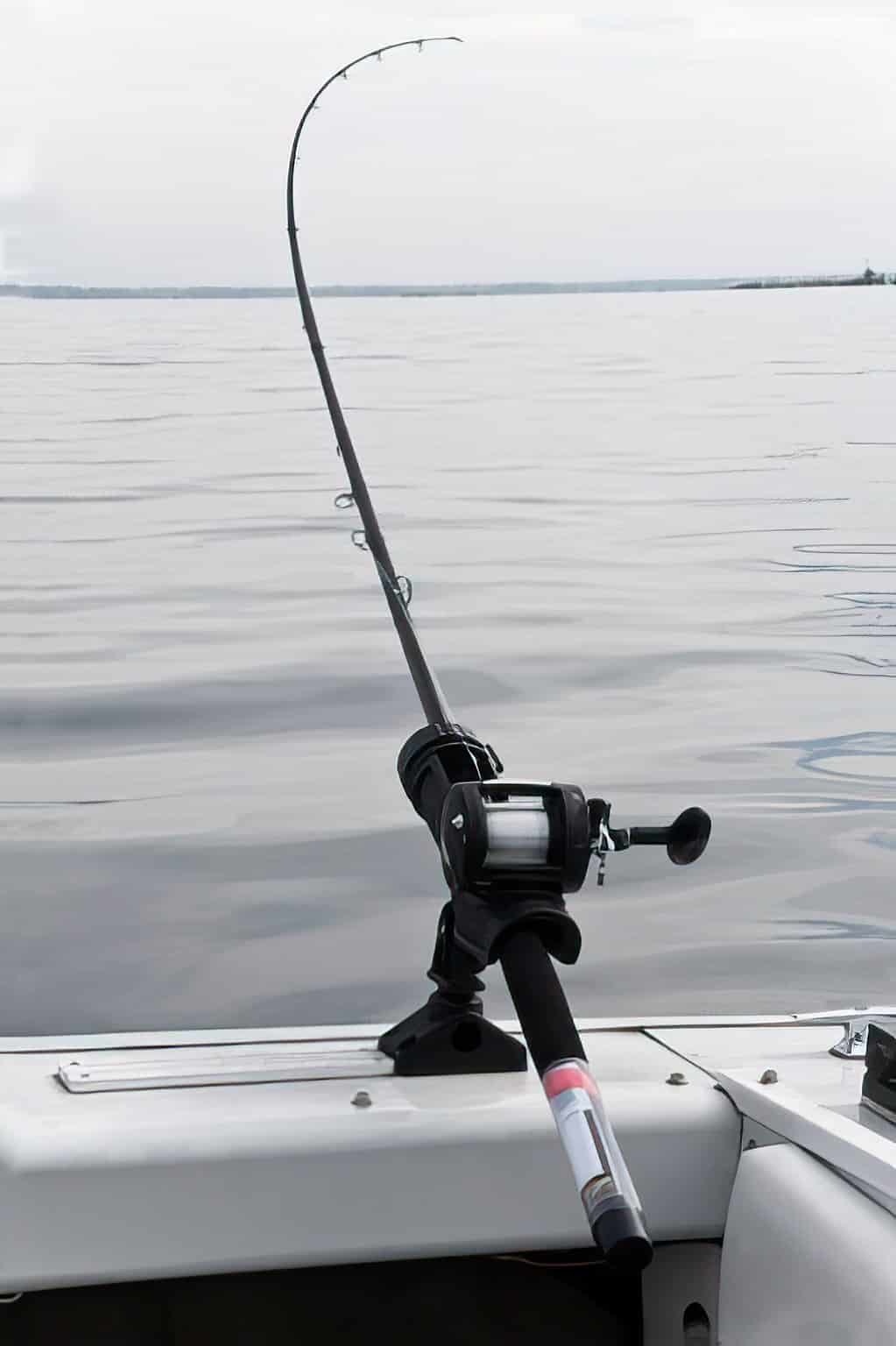 Basics on Trolling Fish | MissHomemade.com