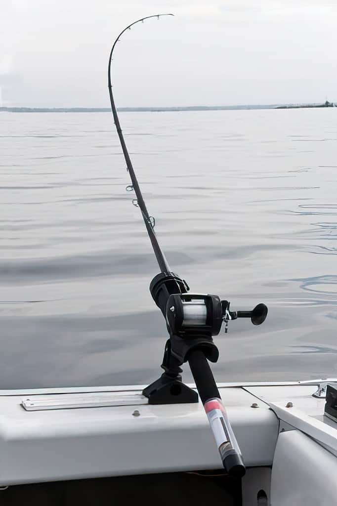 Basics on Trolling Fish | MissHomemade.com