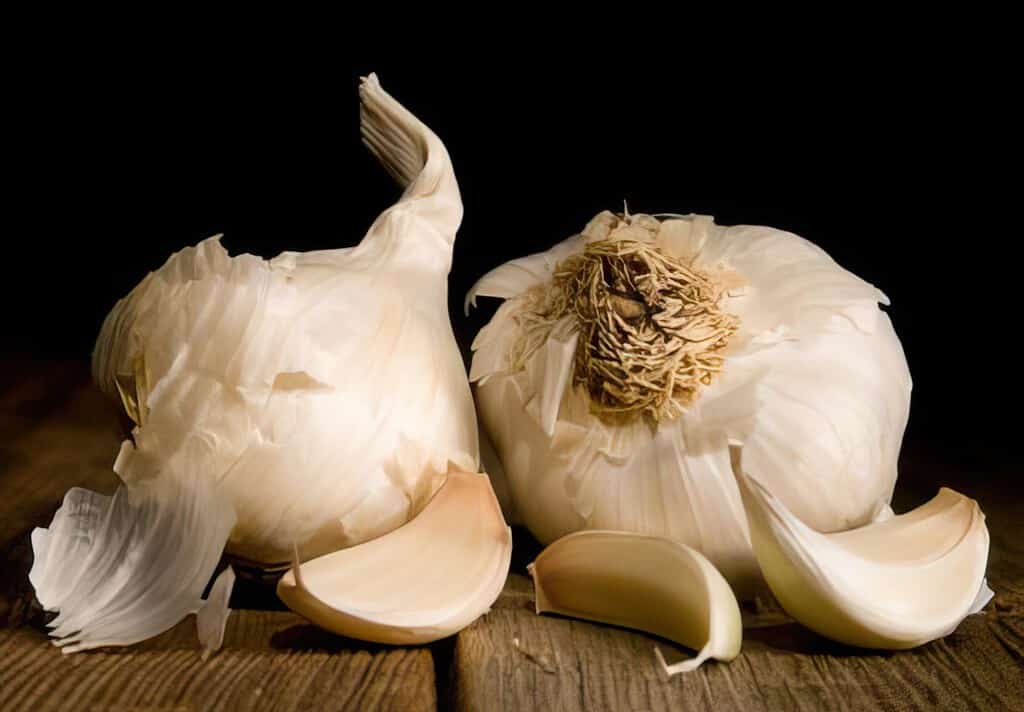 Easy Garlic Recipes | MissHomemade.com